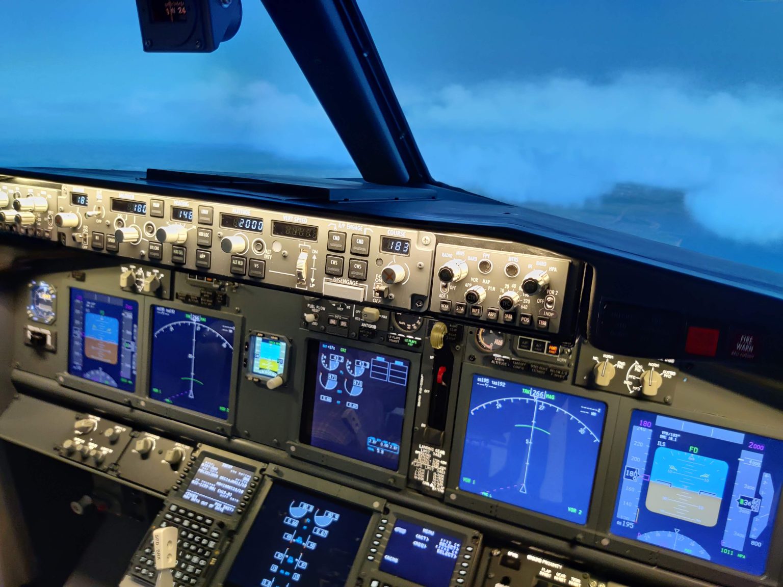 Professional - SimFlying