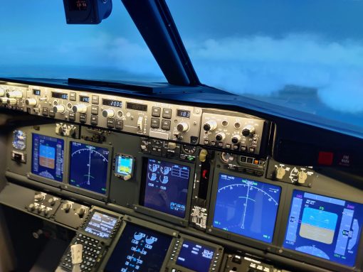 Professional - SimFlying