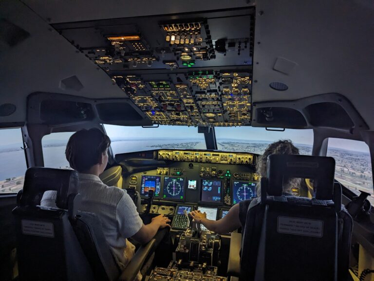 Professional - SimFlying